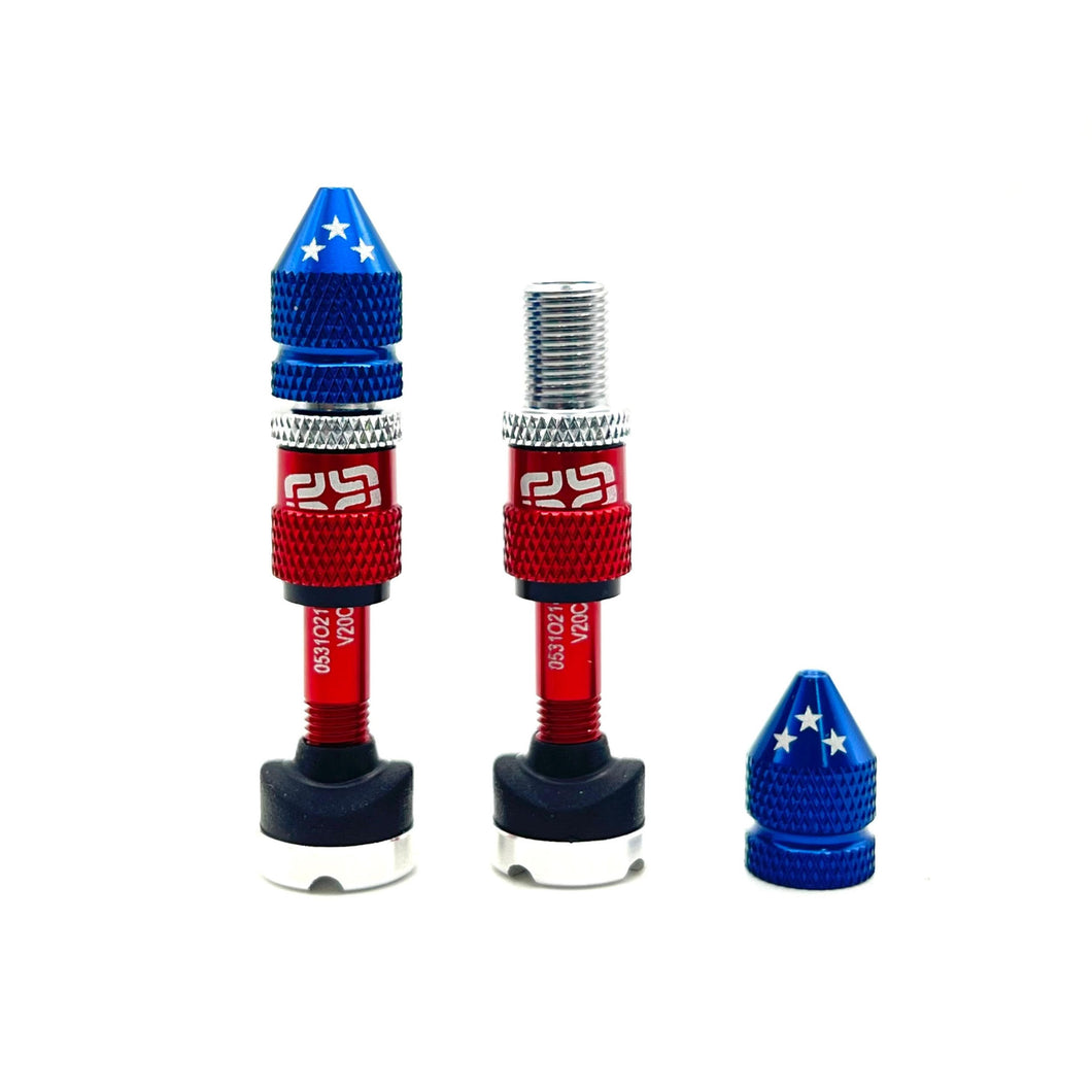 Quick Fill Schrader Tubeless Valve